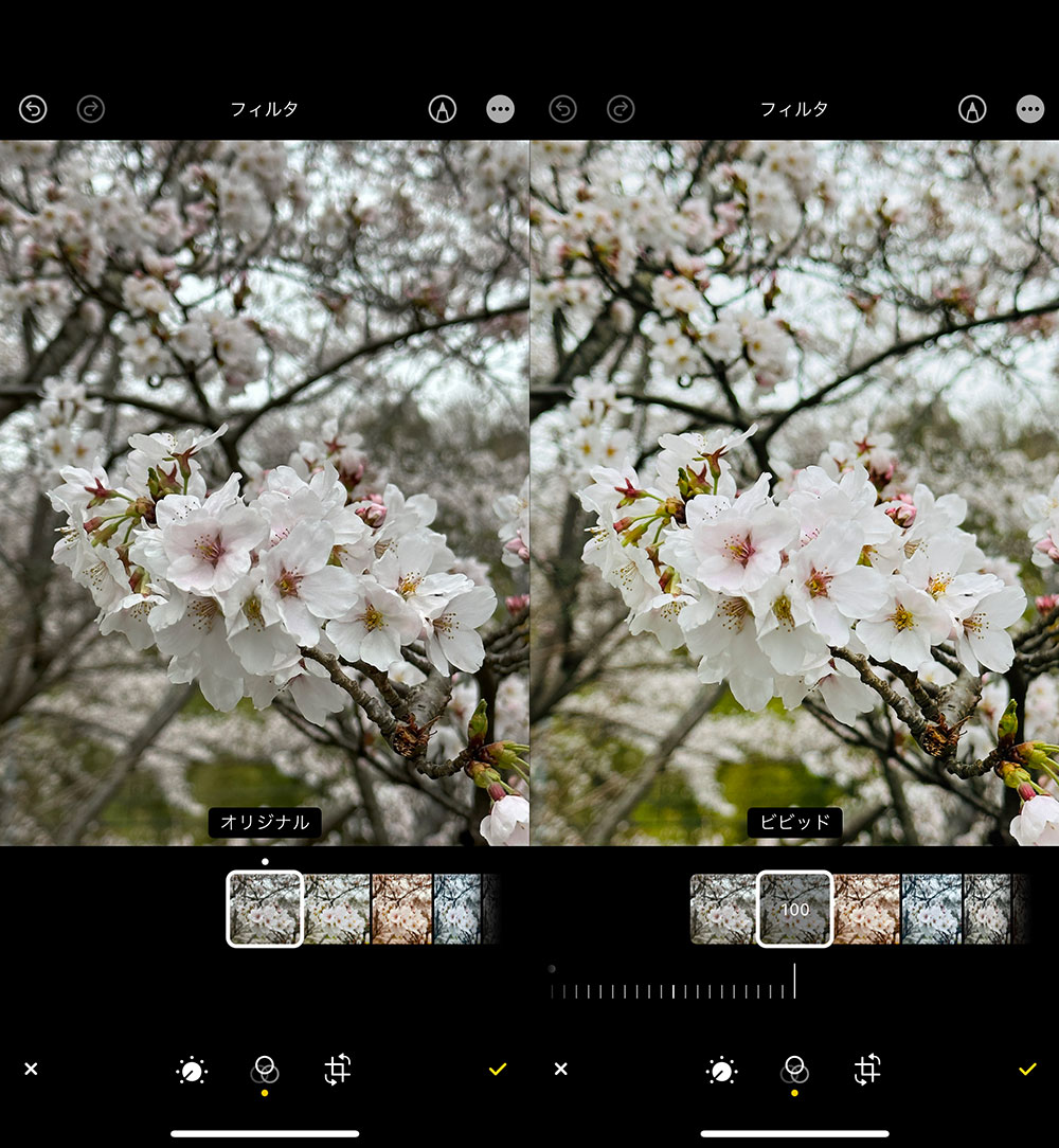 iPhone だけで画像修正 後編 『フィルタ』編 | ルナティック コード ラボ